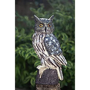 VA Horned Eagle Owl Resin Statue, Fake Owl, Fake Statue, Fake Owls, Garden Owl, Owl Décor, Realistic Owl, Owl Yard Décor, Owl.