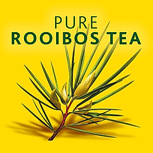 Freshpak Rooibos Tea | 80 Tagless Teabags | Natural Premium Rooibos | Naturally Caffeine Free | Keto Friendly | Rooibos From South Africa | Non GMO