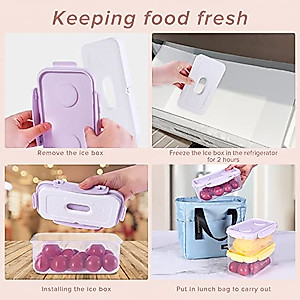 DOOBAANN Food Storage Containers with Ice Box,Fruit Containers Set with Lunch Bag,Perfect for Summer,Bpa Free. (YELLOW/PURPLE)