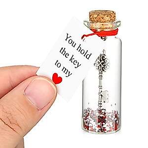 Anniversary Romantic Gift for Her You Hold The Key to My Heart Romantic Bottle, Tiny Glass Love Wish Jar Romantic Message with Bottle, Gifts for Anniversary(Classic Style)