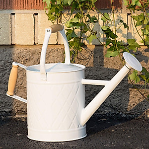 HORTICAN 1 Gallon Watering Can with Wooden Handles, White Metal Can with Removable Spout, Perfect for Indoor and Outdoor Plants