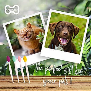 ANTOLL Pets Silicone Soft Head Dog cat with Toothbrush Dog cat Teeth Cleaning Health Care（4-Parks）