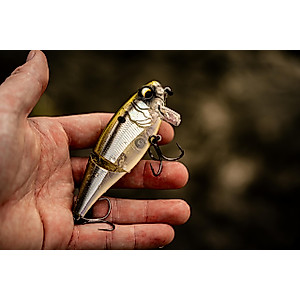 6th Sense Fishing Speed Wake (Live Shiner)