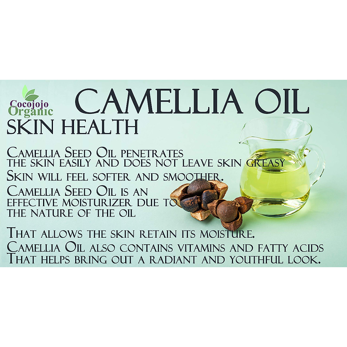 Dr Joe Lab Japanese Camellia Seed Oil - Pure, Cold Pressed, Non-GMO Carrier - 8 oz - for Skin, Hair, Nails, Body, Facial Hair - Hydrating Moisturizing Vegan Nourishing - Packaging May Vary