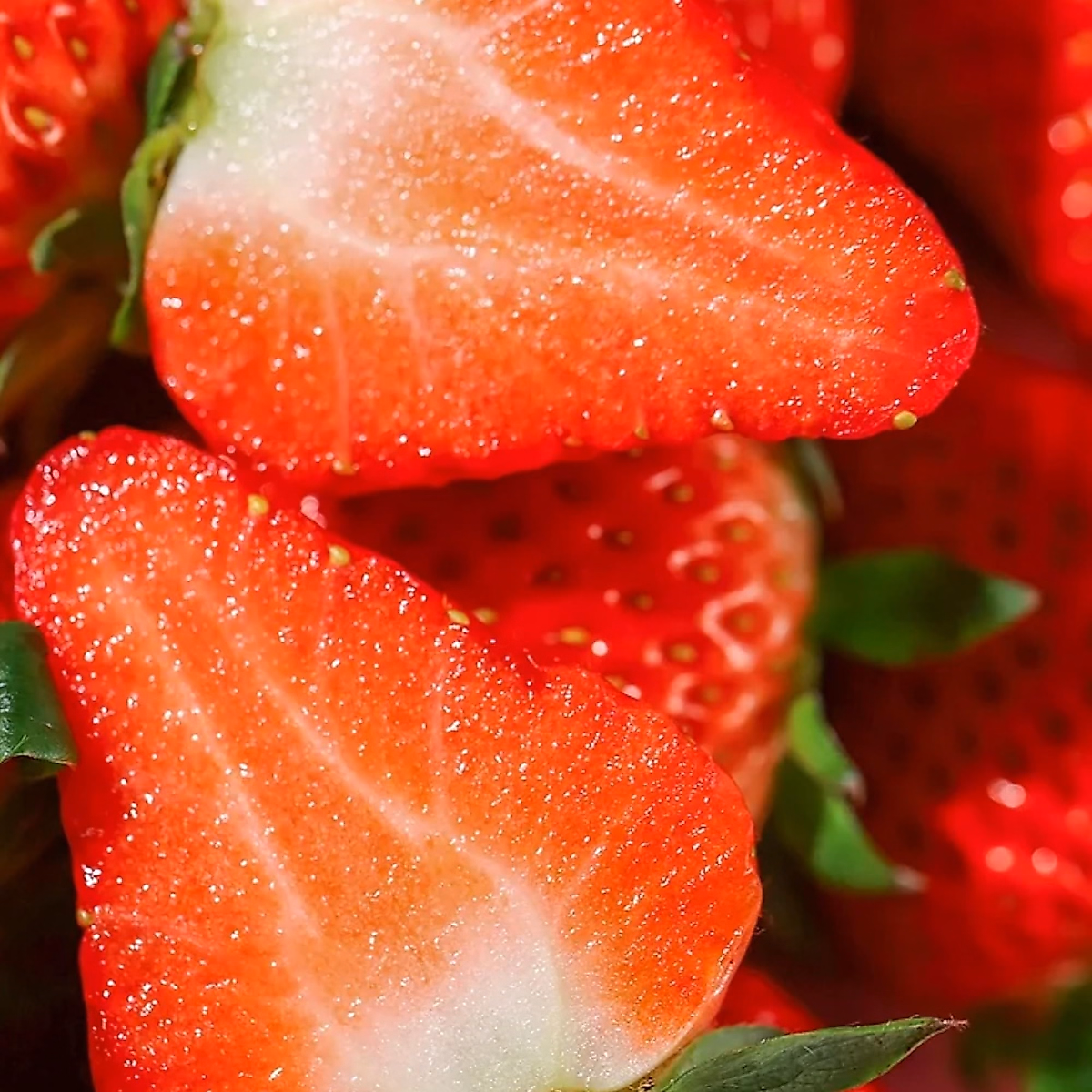 ZEshops 200pcs Cream Strawberry Seeds - Hardy Perennial Herb, Fall & Spring Planting, Vibrant Multi-Color Harvest (Red Strawberry)