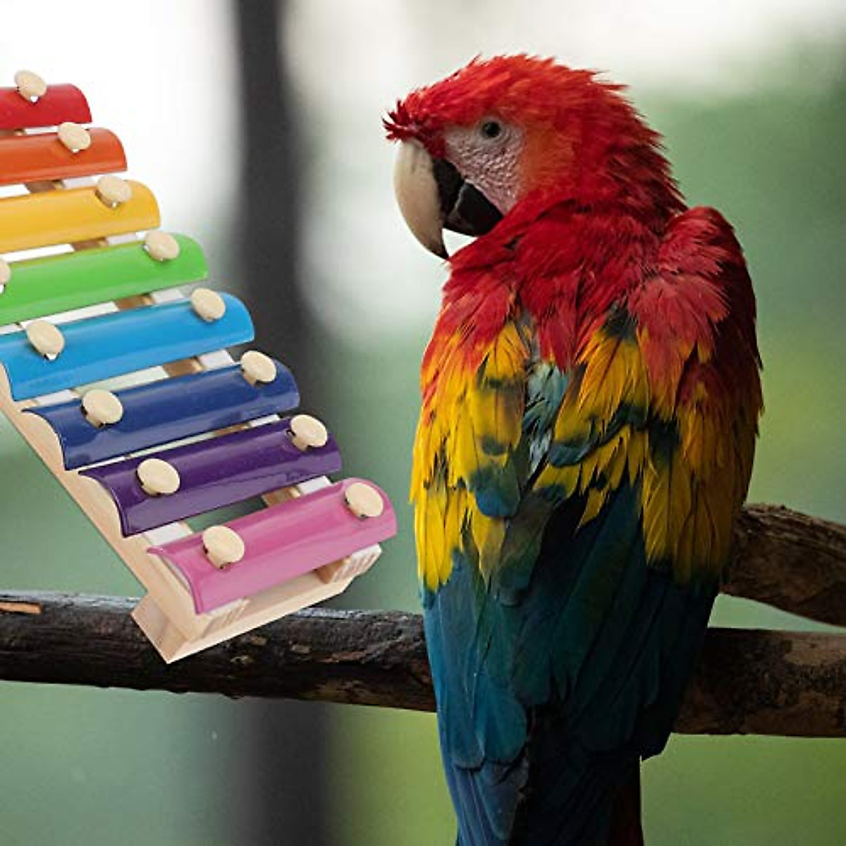 Balacoo 1set Bird Xylophone Toy Parrot Hanging Wood Music Toys Chicken Coop Pecking Toy Parrot Parakeets Molar Tearing Toys for Parrots Parakeets