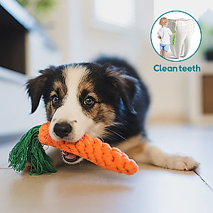 Squeaky Plush Large Dog Toy & Cotton Rope Chew Toy Kit, Cute Elephant Stuffed Toy and Carrot Teething Tug of War Rope Knot Toy Set for Small Medium Large Breed Holiday Birthday Gift (2 Pack)