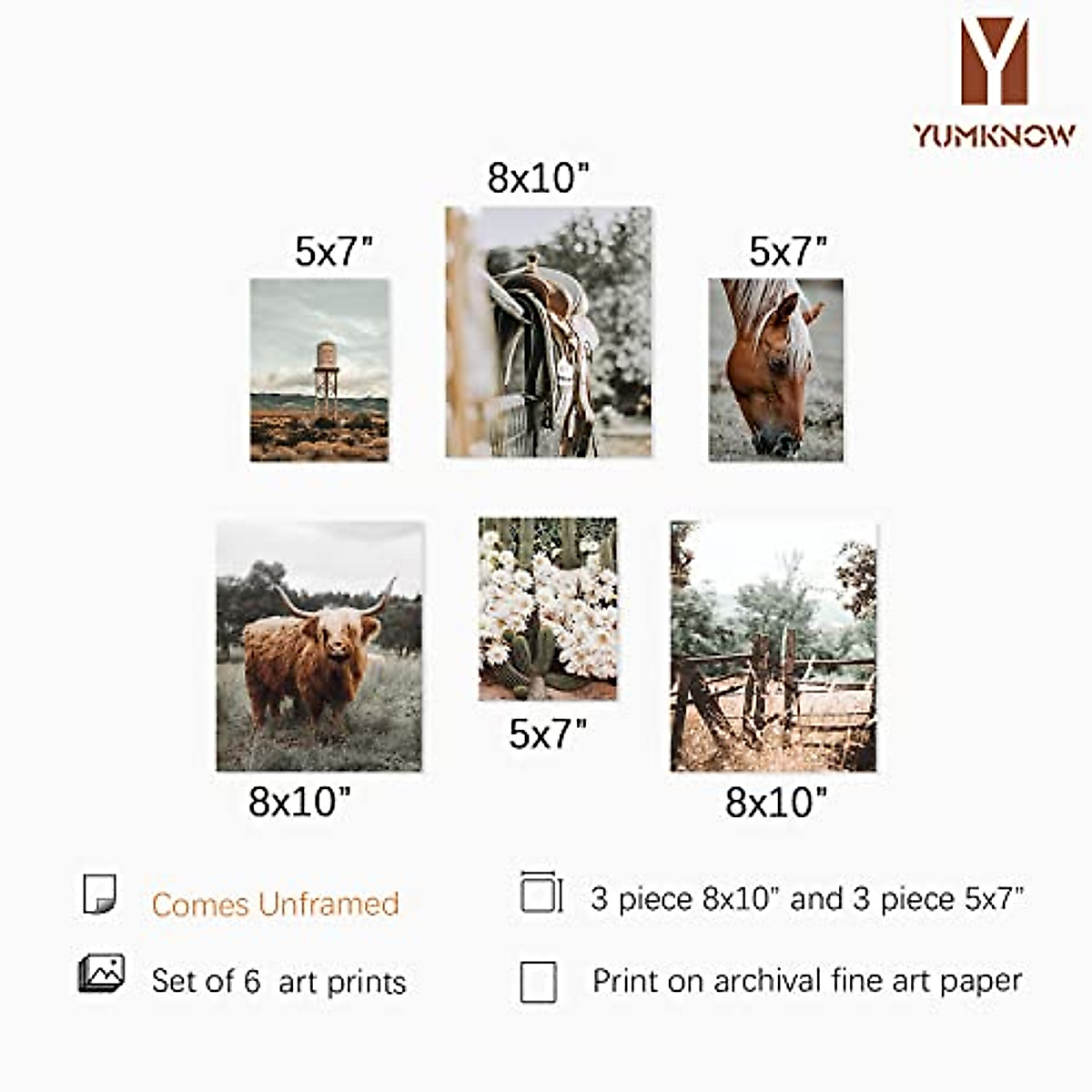 Rustic Farmhouse Bathroom Poster - Boho Western Decor - Highland Cow Pictures Wall Art - Old West Ranch Room Decor - Country Horse Cactus Print - Southwestern Farm House Animal - Gift Cowboy Cowgirl