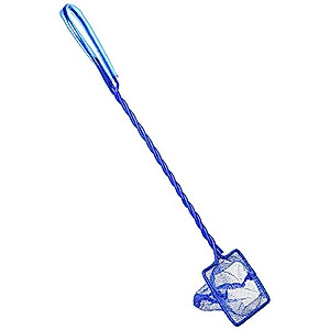 PENN-PLAX Quick-Net Aquarium Fish Net – Durable, Strong, and Safe – Color May Vary (Blue or Green) – 2” x 1.75” Net – 10” Handle
