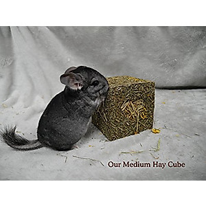 Rosewood Naturals ‘I Love Hay’ Forage Cube, Treat & Toy for Small Animals, Large