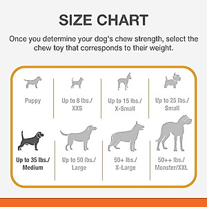 Nylabone Strong Chew Cone Stuffable Chew Toy for Dogs, Bacon Flavored Fillable Treat Toy, Medium/Wolf - Up to 35 lbs. (1 Count)