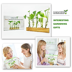 RENMXJ Plant Propagation Station, Plant Terrarium with Wooden Stand for Hydroponics Plants Office Decor Unique Gardening for Women Plant Lovers - 5 Glass Test Tube Vases