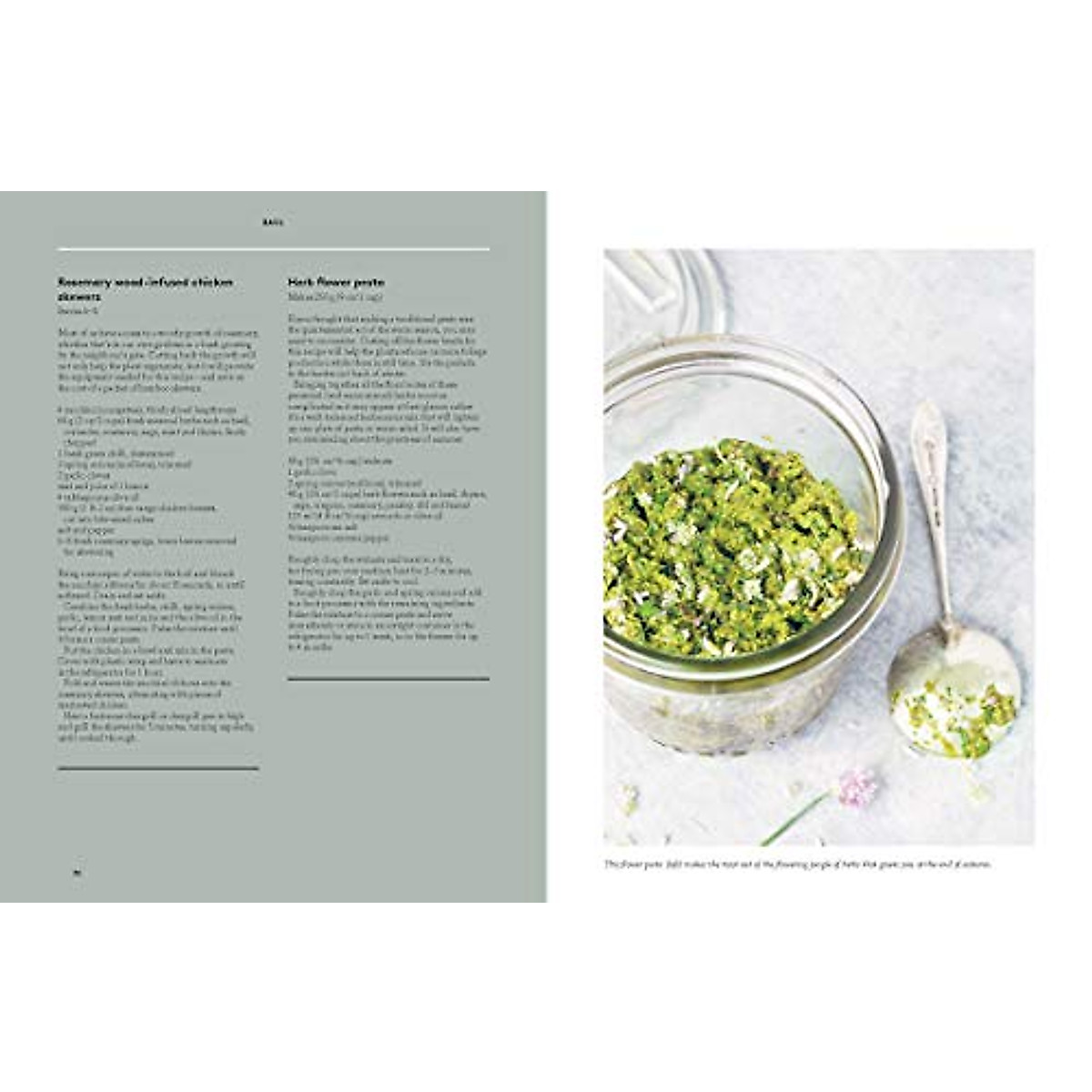 Root to Bloom: A Modern Guide to Whole Plant Use