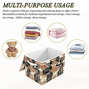 Krafig Art African Girl Foldable Storage Box Large Cube Organizer Bins Containers Baskets with Lids Handles for Closet Organization, Shelves, Clothes, Toys