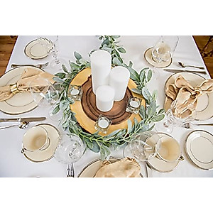 Lipper International Acacia Tree Bark Footed Server for Cheese, Crackers, and Hors D'oeuvres, Large