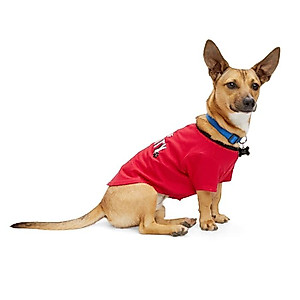 YOULY Head of Security Dog Tee, Large