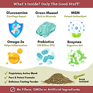 Wholistic Pet Organics Joint Mobility GLM: Dog Joint Health Supplement Glucosamine Chondroitin for Dogs Arthritis Pain Relief Hip and Joint Support Green Lipped Mussels for Dogs Large Breed