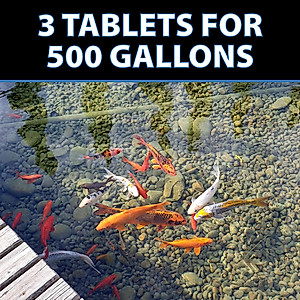 CrystalClear MuckOff, Natural Pond Muck Treatment, Water Garden, Fountain & Bird Bath Sludge Remover, Living Beneficial Bacteria Clarifier with Enzyme, Fish, Aquatic Animal, & Pet Safe, 48 Tablets