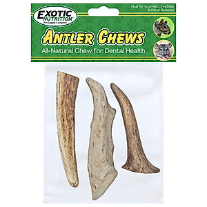 Exotic Nutrition Antler Chews - Safe Small Animal Chew - Natural Source of Healthy Minerals - Chinchilla, Hamster, Degu, Prairie Dog, Squirrel and Other Chewing Pets