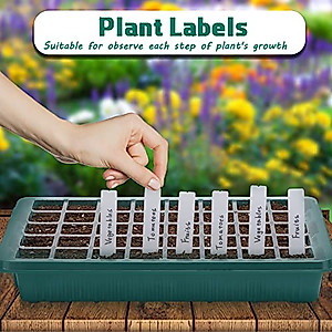 5 Pack Seed Starter Tray Seed Trays Garden Kit Humidity Seeding Tray Plant Germination with Clear Dome Trays for Seed Growth, 40 Cells Per Tray