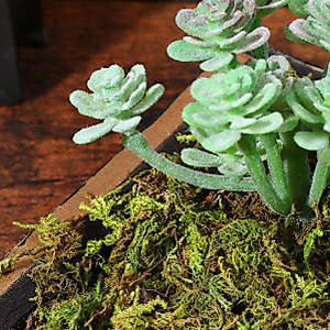 BESPORTBLE Moss Lifelike Artificial Green Moss for Flower Plant Garden Lawn Crafts Home Decoration