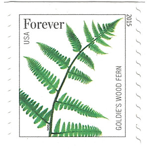 USPS Ferns Stamps - 50 Forever Stamps (5 Strips of 10 Stamps)