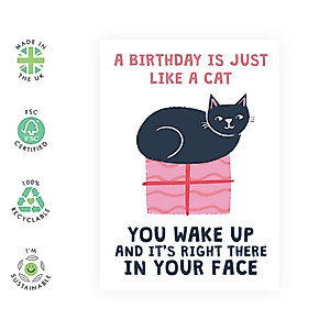 CENTRAL 23 Funny Birthday Cards For Women - Cat Birthday Card - Comes With Fun Stickers - Vegan Ink - Made in the UK