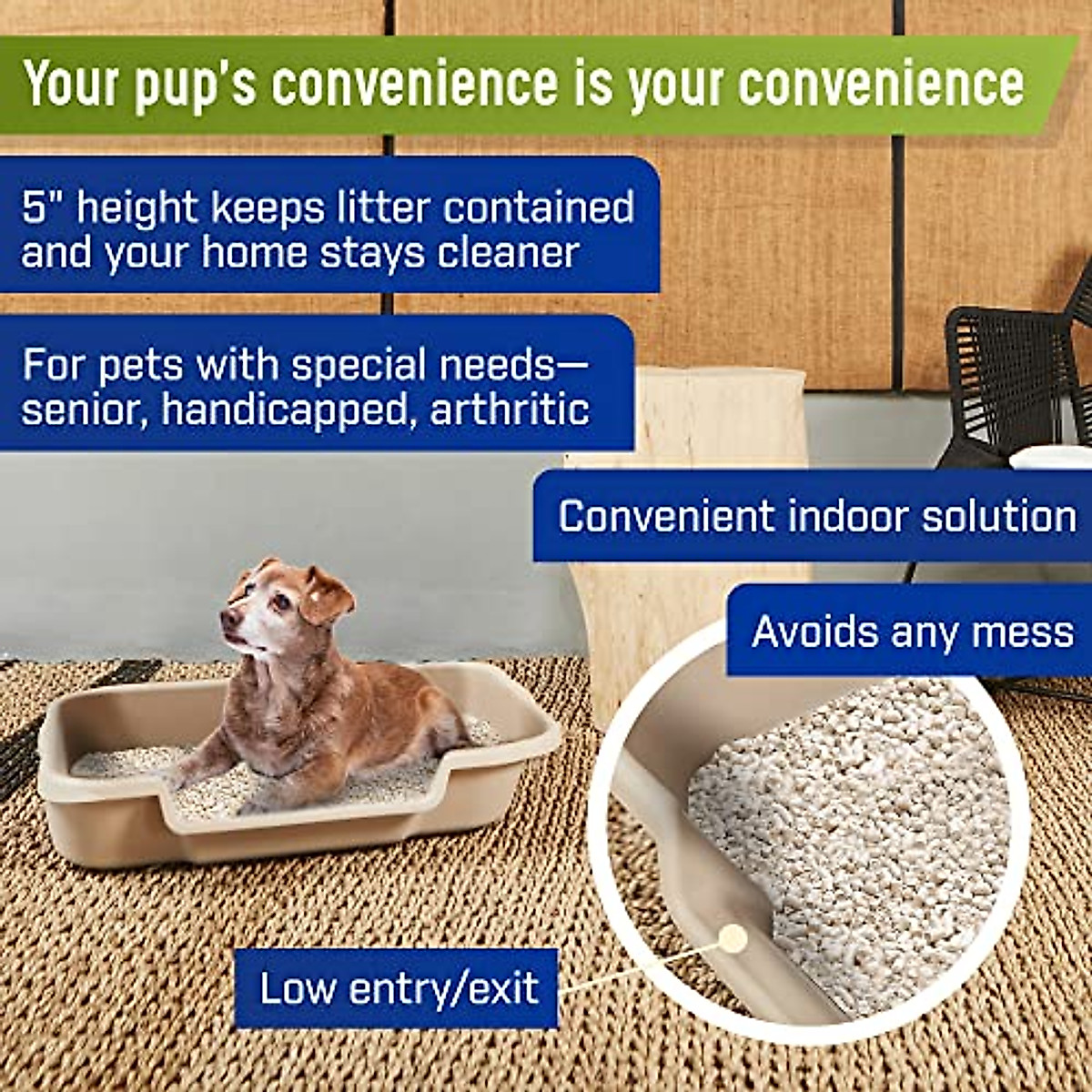 PuppyGoHere Dog Litter Box, Large Size, Misty Gray, Durable & Pet Safe Puppy Litter Box, Indoor Open Top Entry Dog Litter Pan, Comfortable for Dogs, Great for Dogs up to 20 lbs