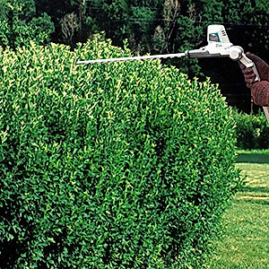 40V Cordless Pole Hedge Trimmer Long Reach 20" Cutting Length 6 Position Adjustable Head with Battery and Charger