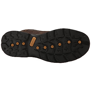 Timberland Women's Chocorua Trail Boot,Brown,7.5 M