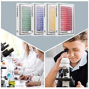 Plastic Prepared Microscope Slides for Kids, Cainda 48pcs Animals Insects Plants Flowers Sample Microscope Slides with Specimens for Students Adult Biology Science Programs