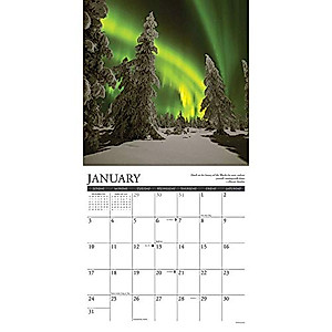 Heaven Has a Forest 2021 Wall Calendar