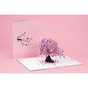 Paper Love 3D Cherry Blossom Pop Up Card, For Valentines, Spring, Mothers Day, All Occasions - 5" x 7" Cover - Includes Envelope and Note Tag