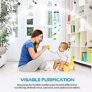 Raycono Pluggable Small Air Purifier, Small Room Wall Air Sanitizer for Pets, Office, Kitchen, Ozone Free, Removal of Odors, Dust, Portable Mini Air Cleaner