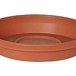 Bloem Terra Pot Round Drain Saucer: 16" - Terra Cotta - Tray for Planters 11-16", Matte Finish, Durable Resin, Ribbed Bottom, for Indoor and Outdoor Use, Gardening, Planter Not Included