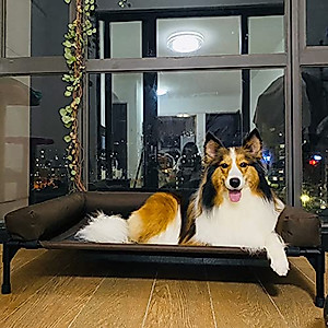 UEIDIHI Bolster Dog Cot, Removable Washable Raised Pet Cot, Durable Breathable Elevated Dog Bed Cot, Indoor/Outdoor Waterproof Soft Pet Bed for Small, Medium and Large Dogs,Gray,107 * 76 * 19cm