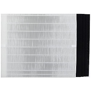 Genuine Winix 113250 Replacement Filter E for P450, White/Black