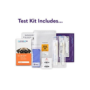 MySimplePetLab Dogs Itch and Skin Test Kit | Fast and Accurate Detection of Yeast and Other Skin Irritaions | Mail-in Dog Itchy Skin Test Used for Irritated, Itchy, or Smelly Skin