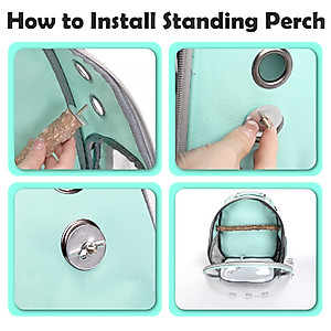 Bird Carrier Backpack Travel Cage with Perch, Breathable Clear Parrot Cockatiel Cage with Toy Stainless Steel Food Bowl Tray for Conures Parakeet Budgie Canary Lovebirds, Small Animal Pet Carrier Bag