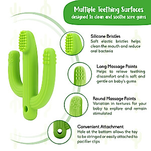 Cactus Baby Teething Toys for Babies 0-6 Months or 6-12 Months, Self-Soothing Pain Relief Soft Baby Teether Toys for Babies, Toddlers, Infants, Boy or Girl, BPA Free, Green