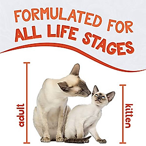 Earthborn Holisitc Catalina Catch Grain-Free Moist Cat Food