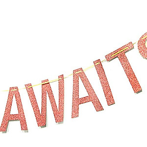 Adventure Awaits Banner - Graduations/Bon Voyage/Travel Themed/Retirement/Farewell Party Supplies（ Rose Gold）