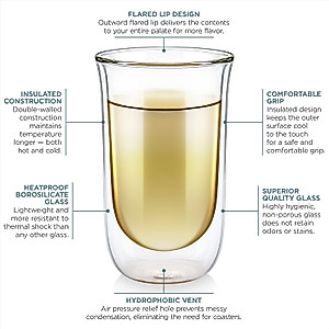 Teabloom Tulip Insulated Glasses for Tea, Coffee and other Beverages - Double Walled Borosilicate Glass Keeps Drinks Hot/Cold, 12 oz (Set of Two)