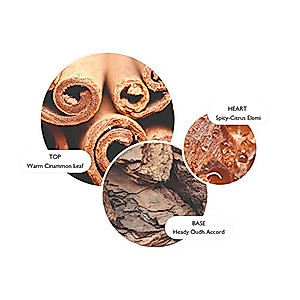 Molton Brown Mesmerising Oudh Accord & Gold Hand Lotion, 10 Fl Oz (Pack of 1)