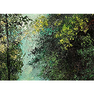 SOLD The Mysterious Woods, Lush Forest Trees By Internationally Renown Artist Andre Dluhos