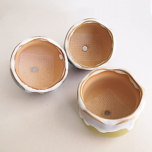 GREGICH 50 Packs 4 Inch Flower Pot Hole Mesh Pad, Plastic Mesh Screen Bonsai Pot Bottom Drainage Hole Grid Mat Mesh, Plant Succulent Pot Planter Drainage Mesh Drainage Hole Screens Prevent Soil Loss