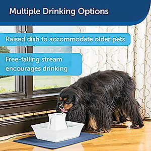 Drinkwell Pagoda Pet Fountain - From PetSafe in Knoxville, TN - Dog Water Bowl Dispenser - Multiple Angles to Drink From - Filters Included - Dog Fountain Provides Water When Power’s Out - White