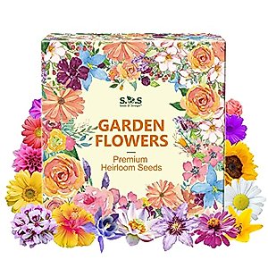 35,000+ Seeds in Bulk 2.1oz Packet Growing Wild Flowers to Attract Bees, Butterflies and Birds, 30 Annual Perennial Wildflower Seeds Mix for Planting Indoor & Outdoors