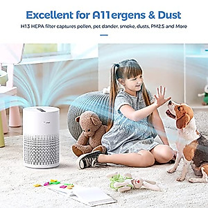 Air Purifiers Plus One More HEPA Filter for A11ergies, Pollen, Smoke, Dusts, Pets Dander, Odor, Hair, Ozone Free, 20db Quiet cleaner for Bedroom, Room, Kitchen and Living Room, SGS Certificaion