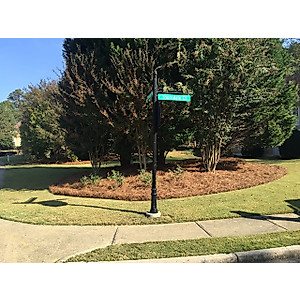 USA Pine Straw - Pine Needle Mulch - Covers 240 Sqft